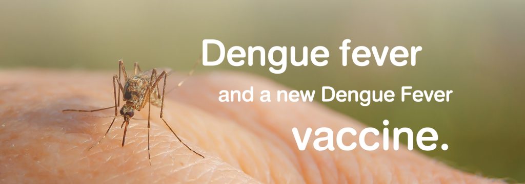 Dengue Fever and Dengue Fever Vaccine - BNH HOSPITAL