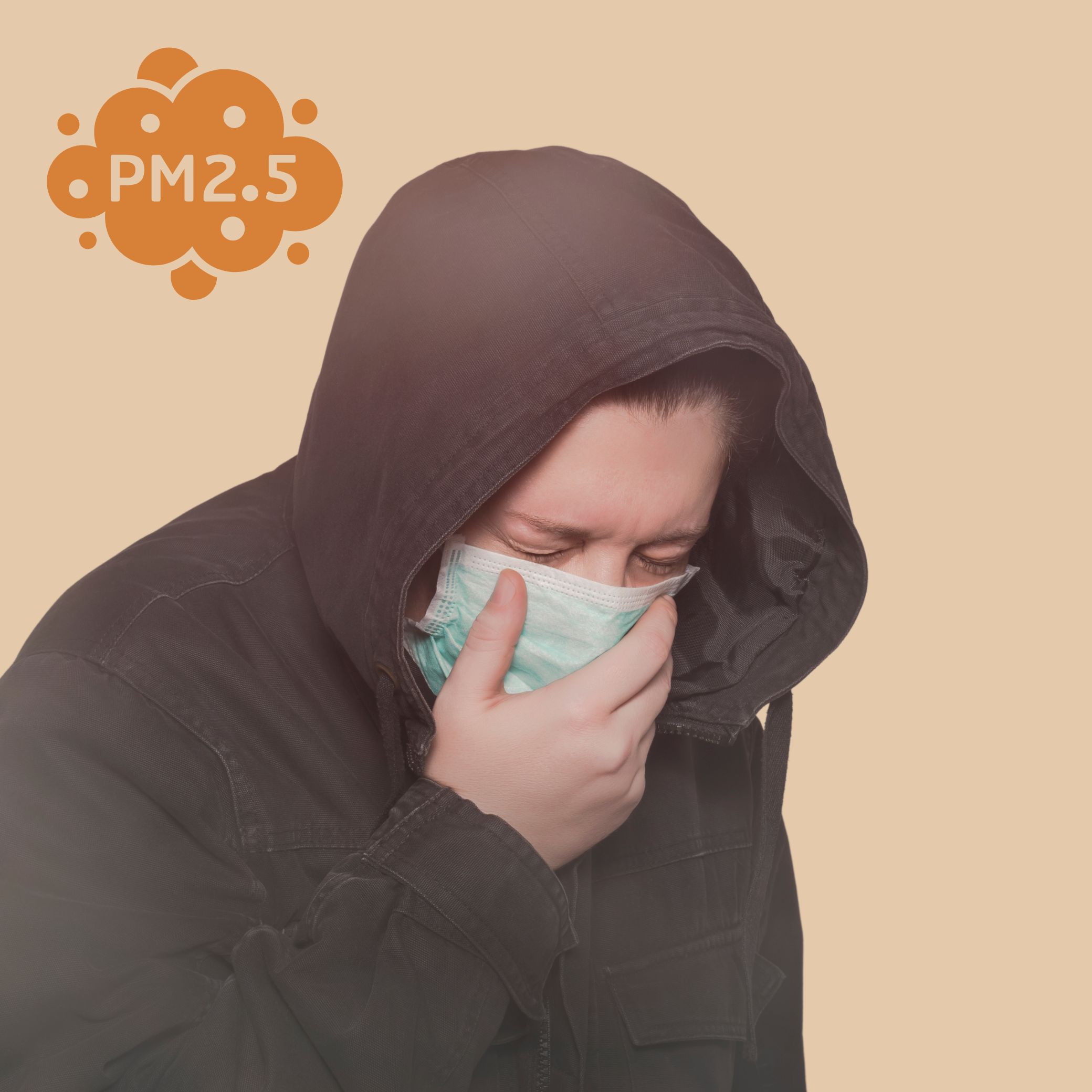 เลี่ยงฝุ่นพิษ PM 2.5 ไม่ได้ หมอภูมิแพ้แนะ 5 วิธีรับมือ - BNH HOSPITAL