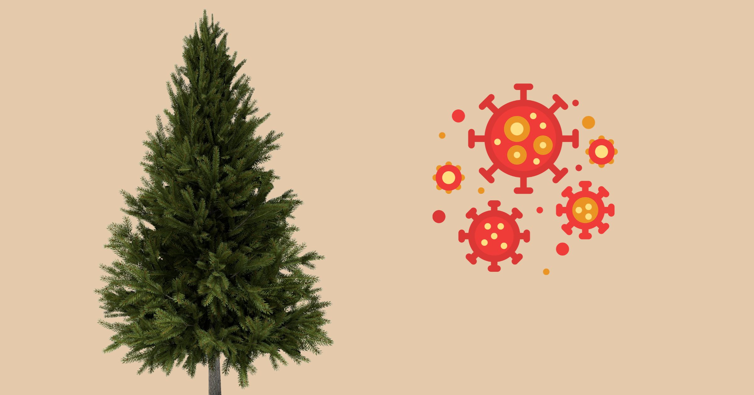 Warning!! Christmas Tree Allergy – Know Before You Can Avoid It - BNH ...